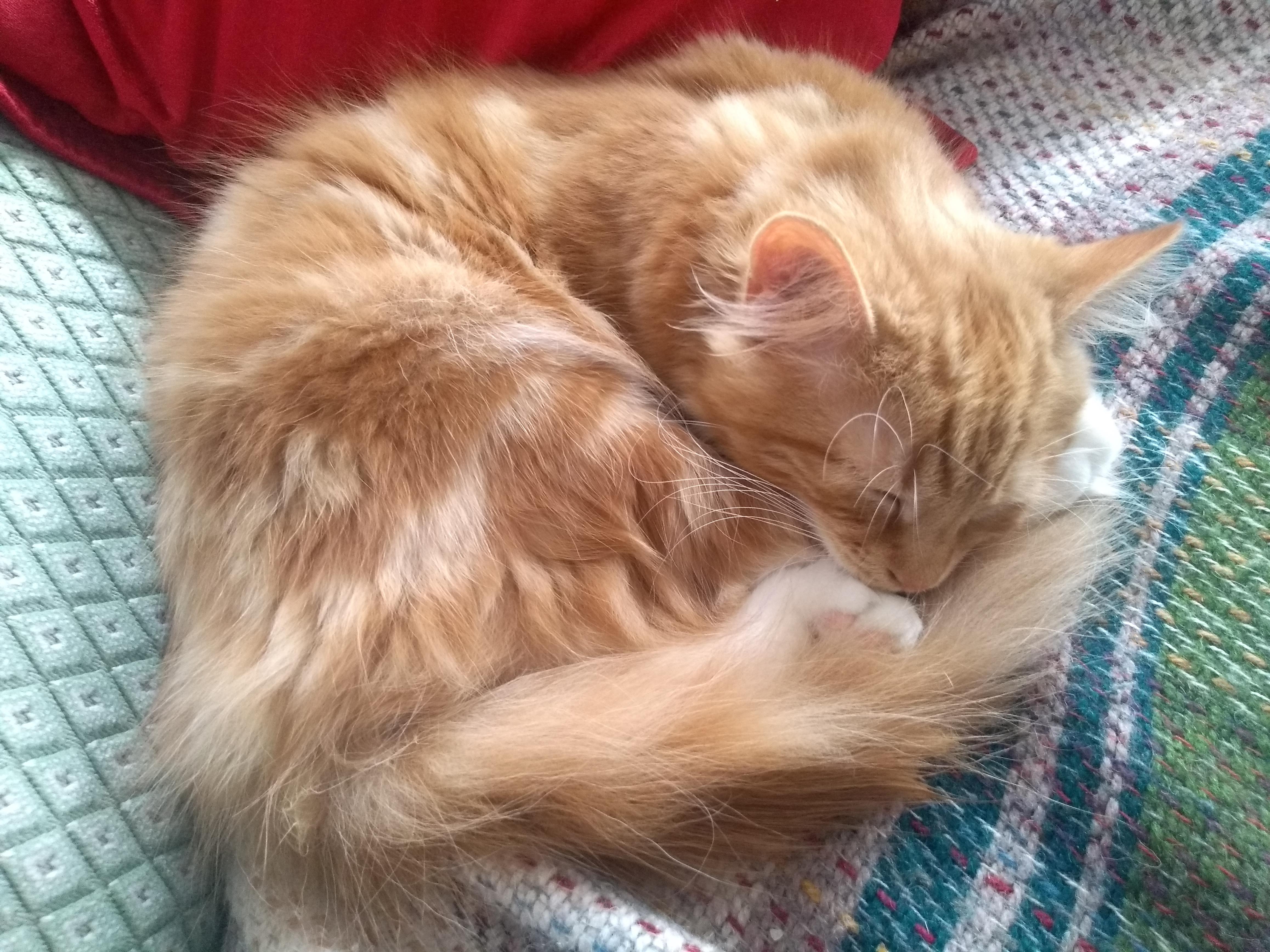 Susie Day | children's books – books for kids about families ...